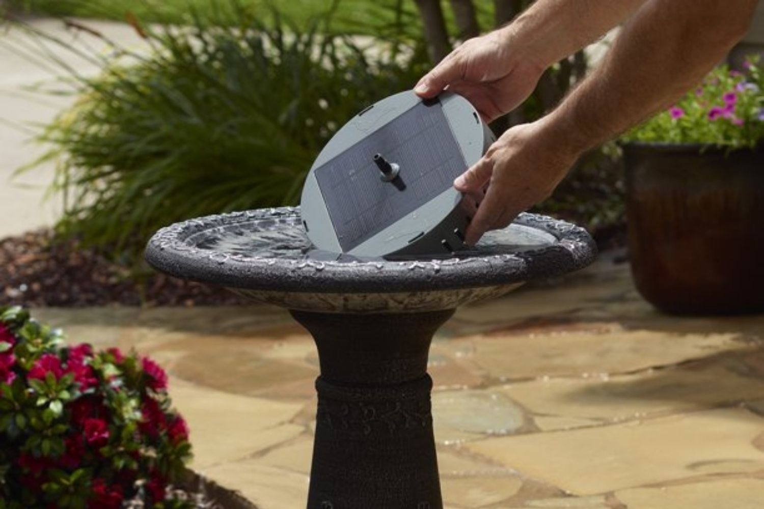 2022年最佳太阳能水浴喷泉——选自鲍勃·维拉 - 开云体育平台官网下载安卓